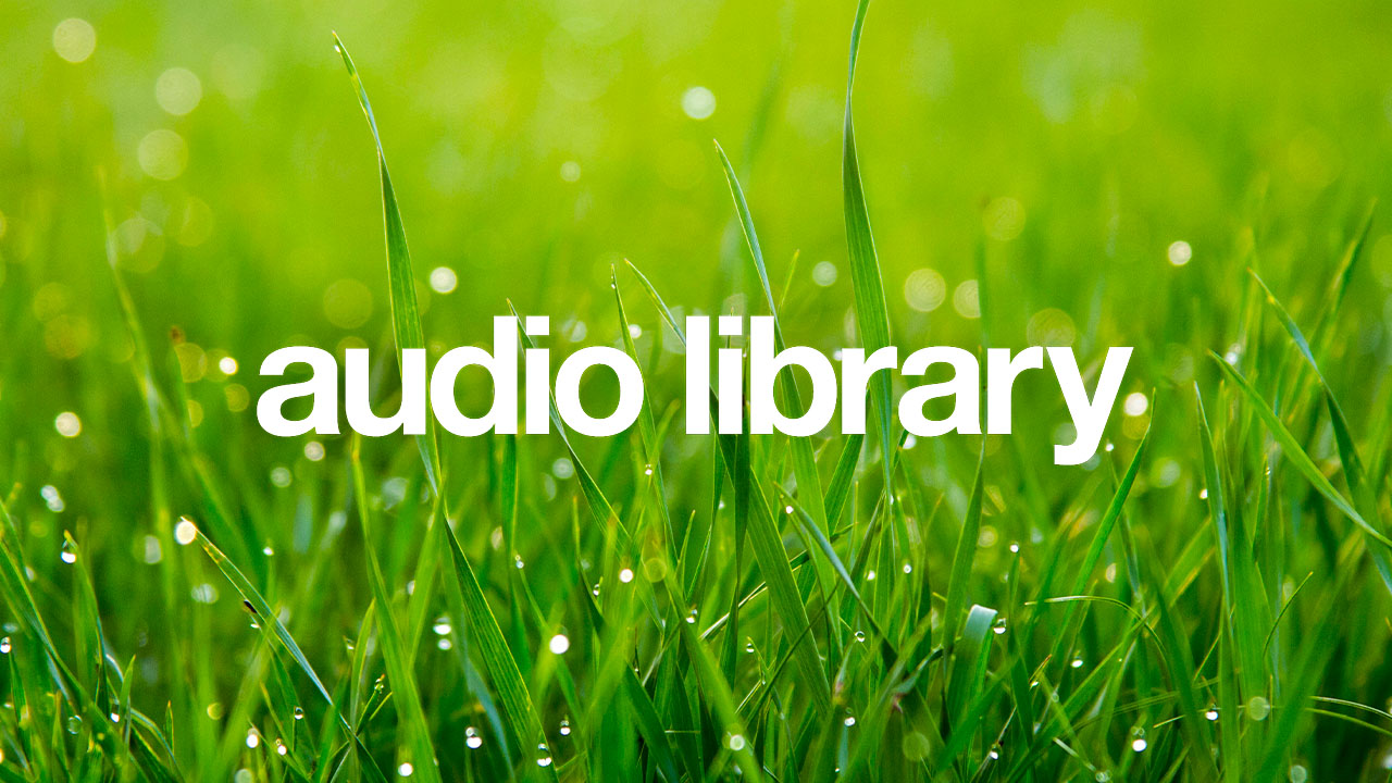 Awakening by Roa Music