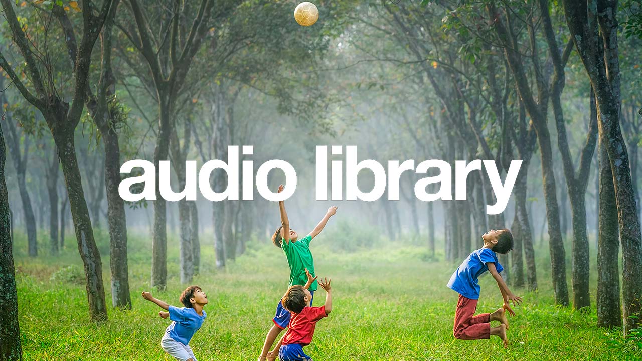 Campfire by Roa Music