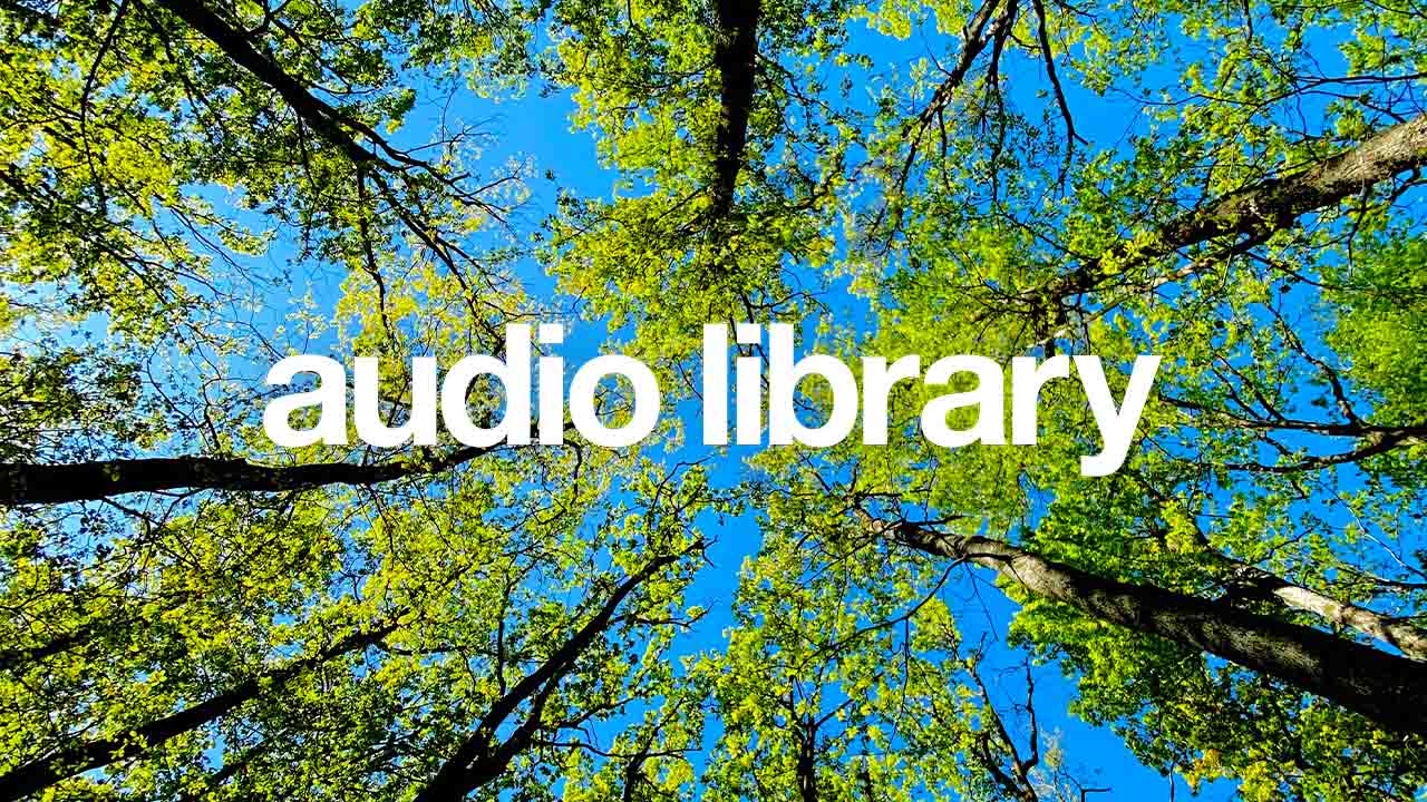 Day Off by Roa Music