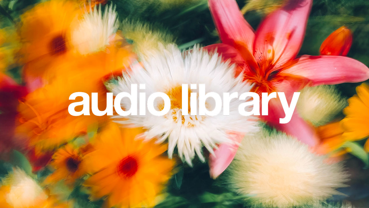 Delighted by Roa Music