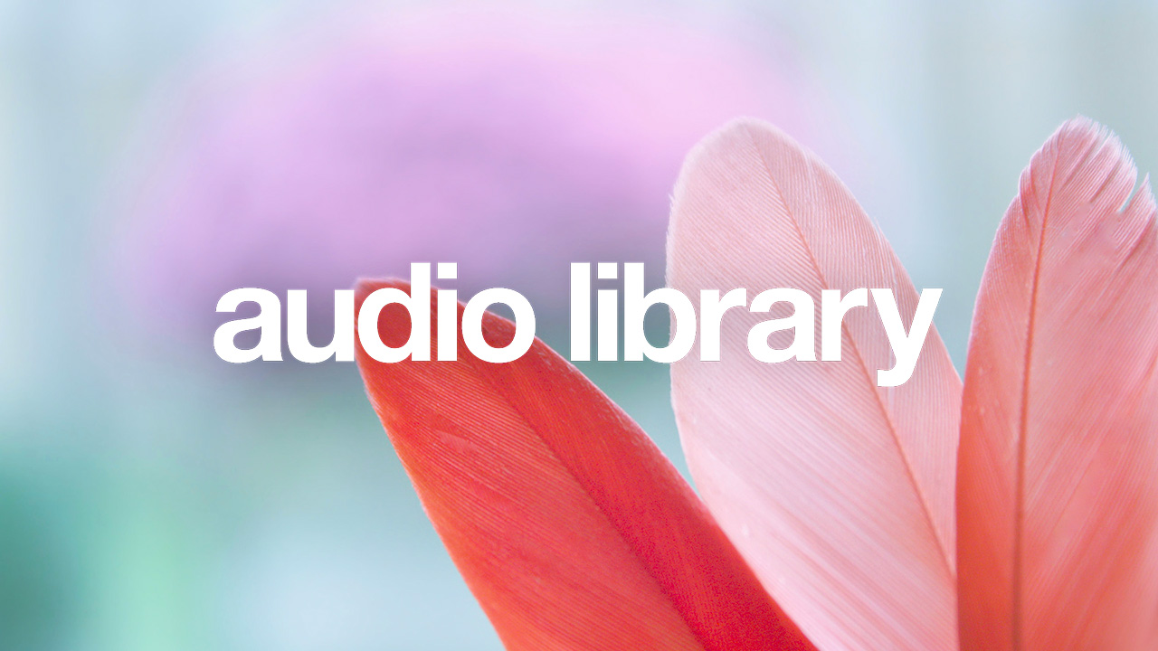 Feather by Roa Music