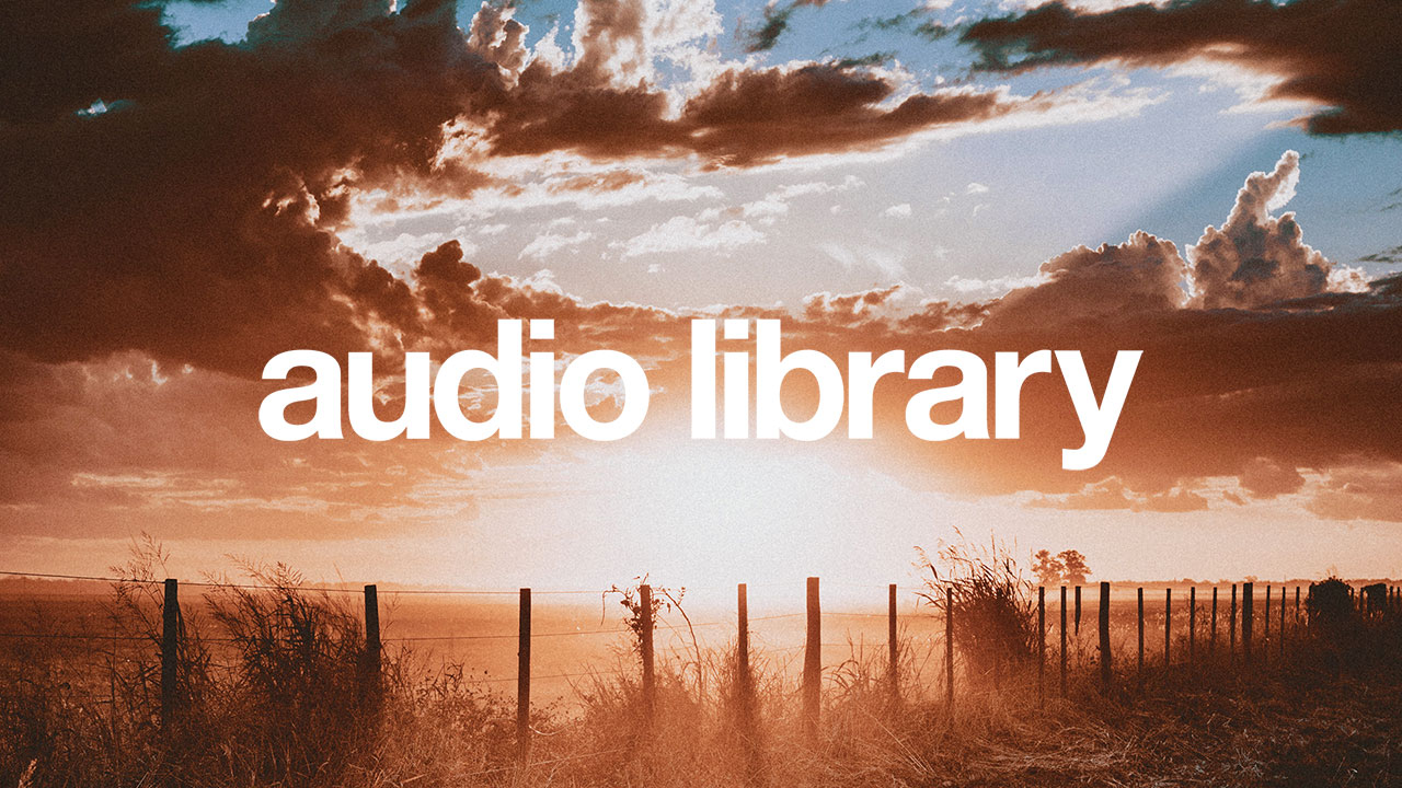 Levity by Johny Grimes