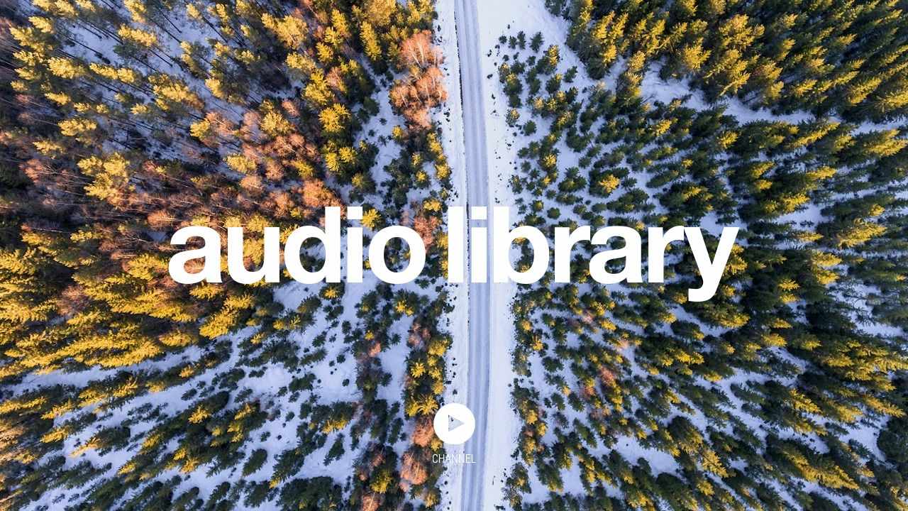 The Netscape by Muciojad