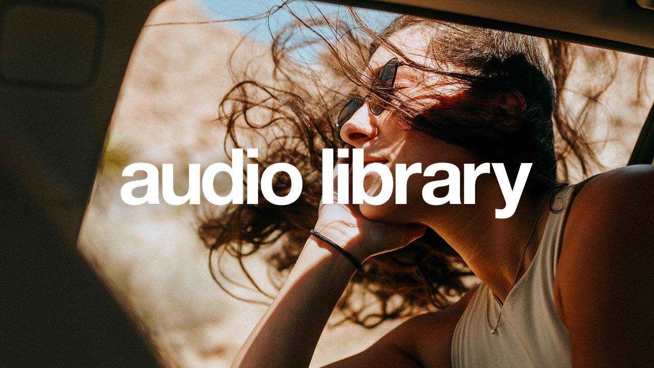 Traveler by Roa Music